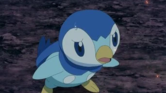 Ash's Piplup (If Traveled Alone) | Pokemon Journeys: My Fanon Wiki | Fandom