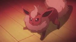 Shoto's Flareon | Pokemon Journeys: My Fanon Wiki | Fandom