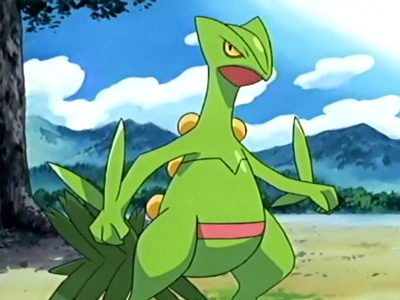 Ash's Sceptile | Pokemon Journeys: My Fanon Wiki | Fandom