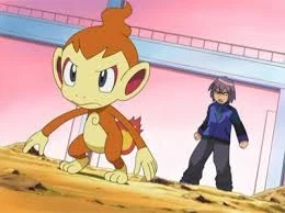 Paul's Chimchar | Pokemon Journeys: My Fanon Wiki | Fandom