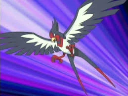 Commandix's Swellow | Pokemon Journeys: My Fanon Wiki | Fandom