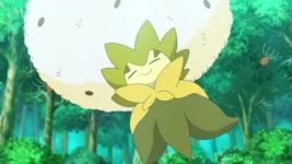 Isogai's Eldergoss | Pokemon Journeys: My Fanon Wiki | Fandom