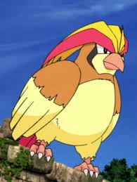 Commandix's Pidgeot | Pokemon Journeys: My Fanon Wiki | Fandom