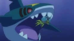 Squalo's Sharpedo | Pokemon Journeys: My Fanon Wiki | Fandom