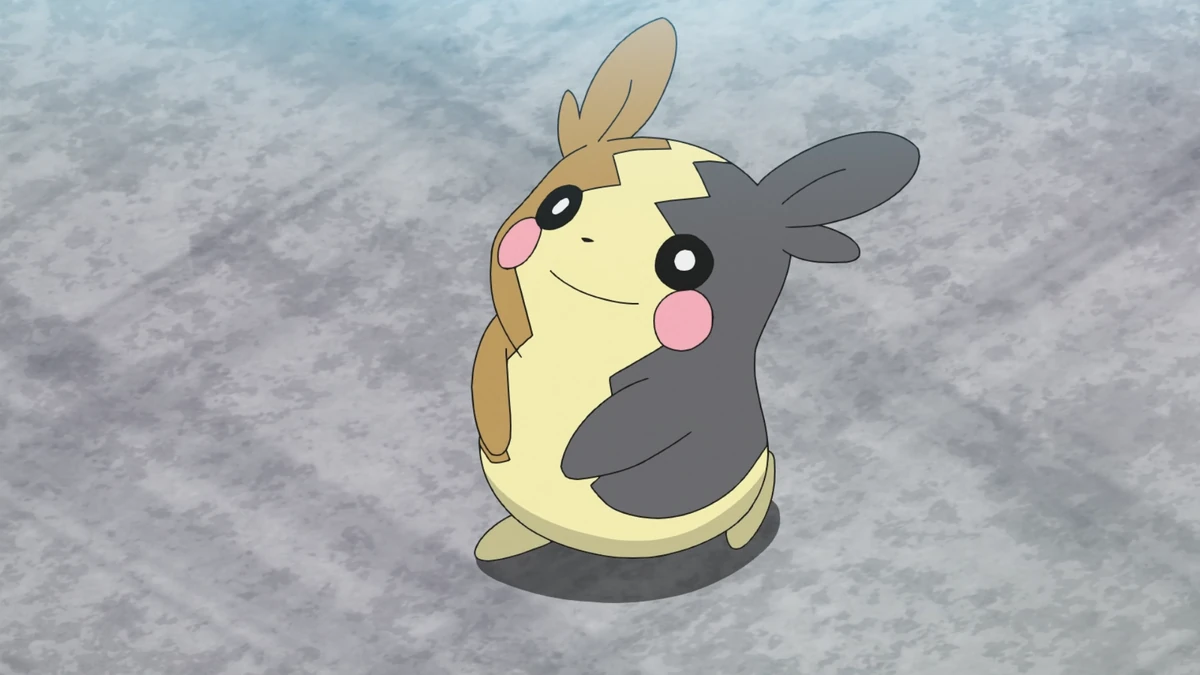 Team Rocket's Morpeko | Pokemon Journeys: My Fanon Wiki | Fandom