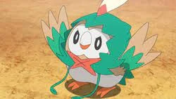 Ciel's Rowlet | Pokemon Journeys: My Fanon Wiki | Fandom
