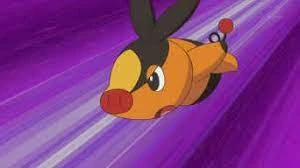 Shoto's Tepig | Pokemon Journeys: My Fanon Wiki | Fandom