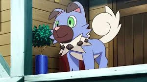 Takeshi's Rockruff | Pokemon Journeys: My Fanon Wiki | Fandom