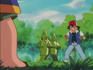 Challenge Of The Samurai | Pokemon Journeys: My Fanon Wiki | Fandom