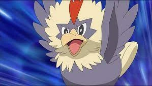 Ciel's Rufflet | Pokemon Journeys: My Fanon Wiki | Fandom