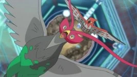 Alain's Unfezant | Pokemon Journeys: My Fanon Wiki | Fandom