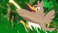 Commandix's Farfetch'd | Pokemon Journeys: My Fanon Wiki | Fandom