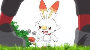 Shoto's Scorbunny | Pokemon Journeys: My Fanon Wiki | Fandom