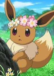Ronald's Eevee | Pokemon Journeys: My Fanon Wiki | Fandom