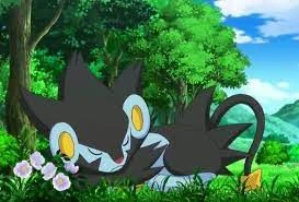 Commandix's Luxray | Pokemon Journeys: My Fanon Wiki | Fandom