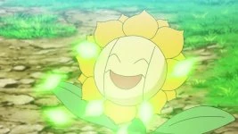 Goh's Sunflora | Pokemon Journeys: My Fanon Wiki | Fandom