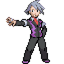 Champion Steven | Pokémon Keishou Wiki | Fandom