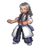 Elder Four Ryuzaki | Pokémon Keishou Wiki | Fandom