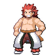 Netsu Clan Leader Masao (Akigawa Tournament) | Pokémon Keishou Wiki ...