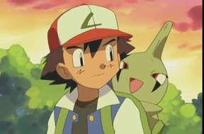 Ash Ketchum/Original series (Johto) | Pokemon Legend Wiki | Fandom