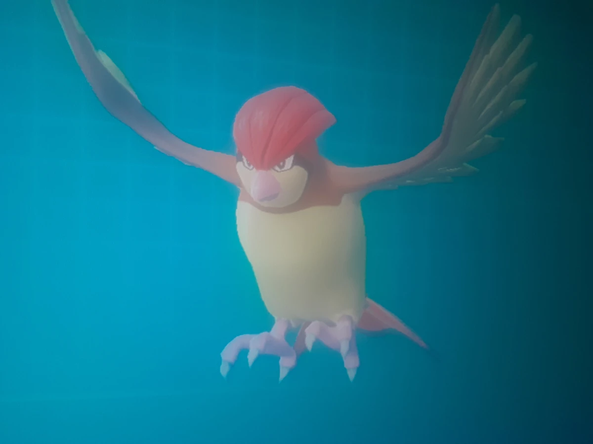 Pidgeotto | Pokemon Lets Go Pikachu and Eevee Wiki | Fandom