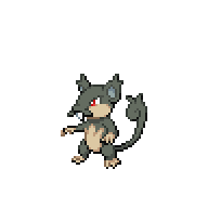 Alolan Rattata | Pokémon Floral Tempus Wiki | Fandom