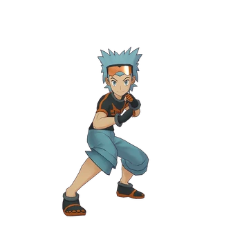 Brawly | Pokémon Masters EX Wiki | Fandom