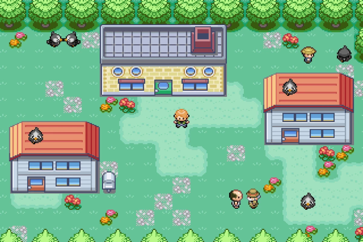 Oraco | Wiki Pokemon New World | Fandom