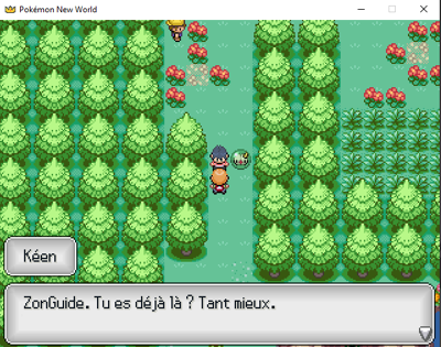 Guide | Wiki Pokemon New World | Fandom