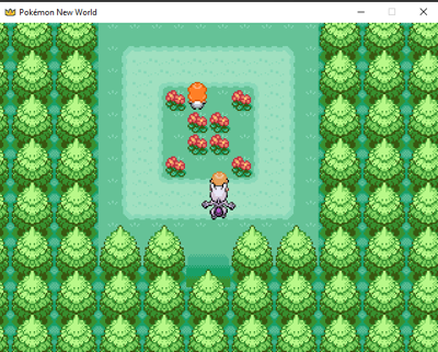 Guide | Wiki Pokemon New World | Fandom