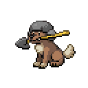 Spadepup | Pokemon Noon Wiki | Fandom