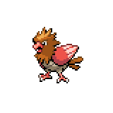 Spearow | Wiki Pokemon Opalo por Eric_Lostie | Fandom