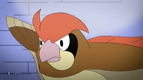 Falkner | Pokémon Pedro Animation Wiki | Fandom