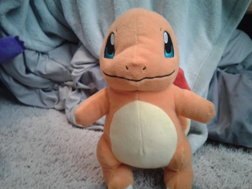Charlie | Pokemon Plush Friends Wiki | Fandom