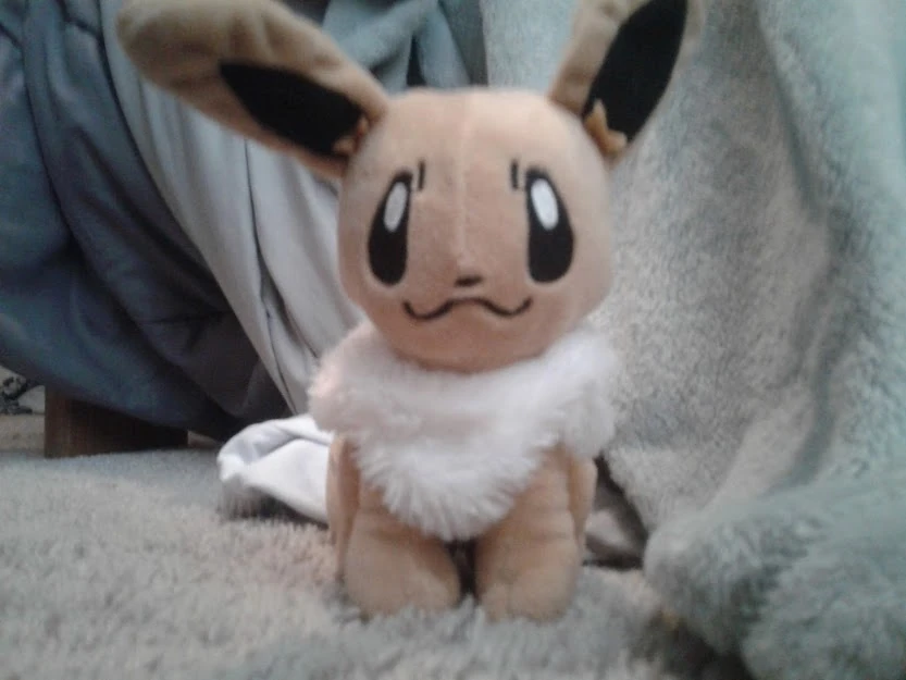 Bevee | Pokemon Plush Friends Wiki | Fandom