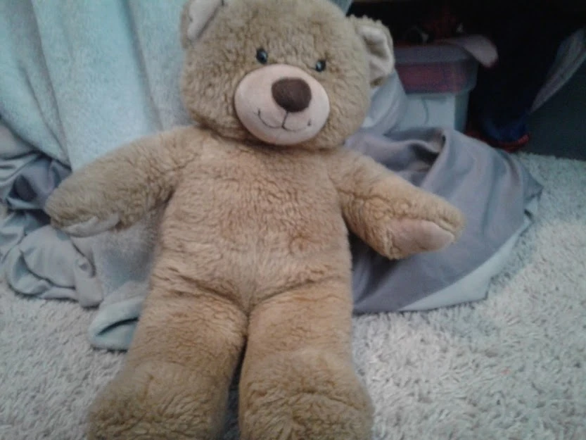 Jeff | Pokemon Plush Friends Wiki | Fandom