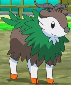Ash's Skiddo | Pokemon Reboot-Ash New Begining Wiki | Fandom
