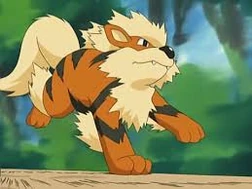 Ash's Arcanine | Pokemon Reboot-Ash New Begining Wiki | Fandom