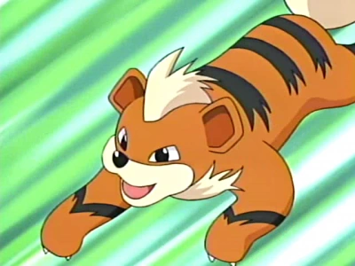 Ash's Growlithe | Pokemon Reboot-Ash New Begining Wiki | Fandom