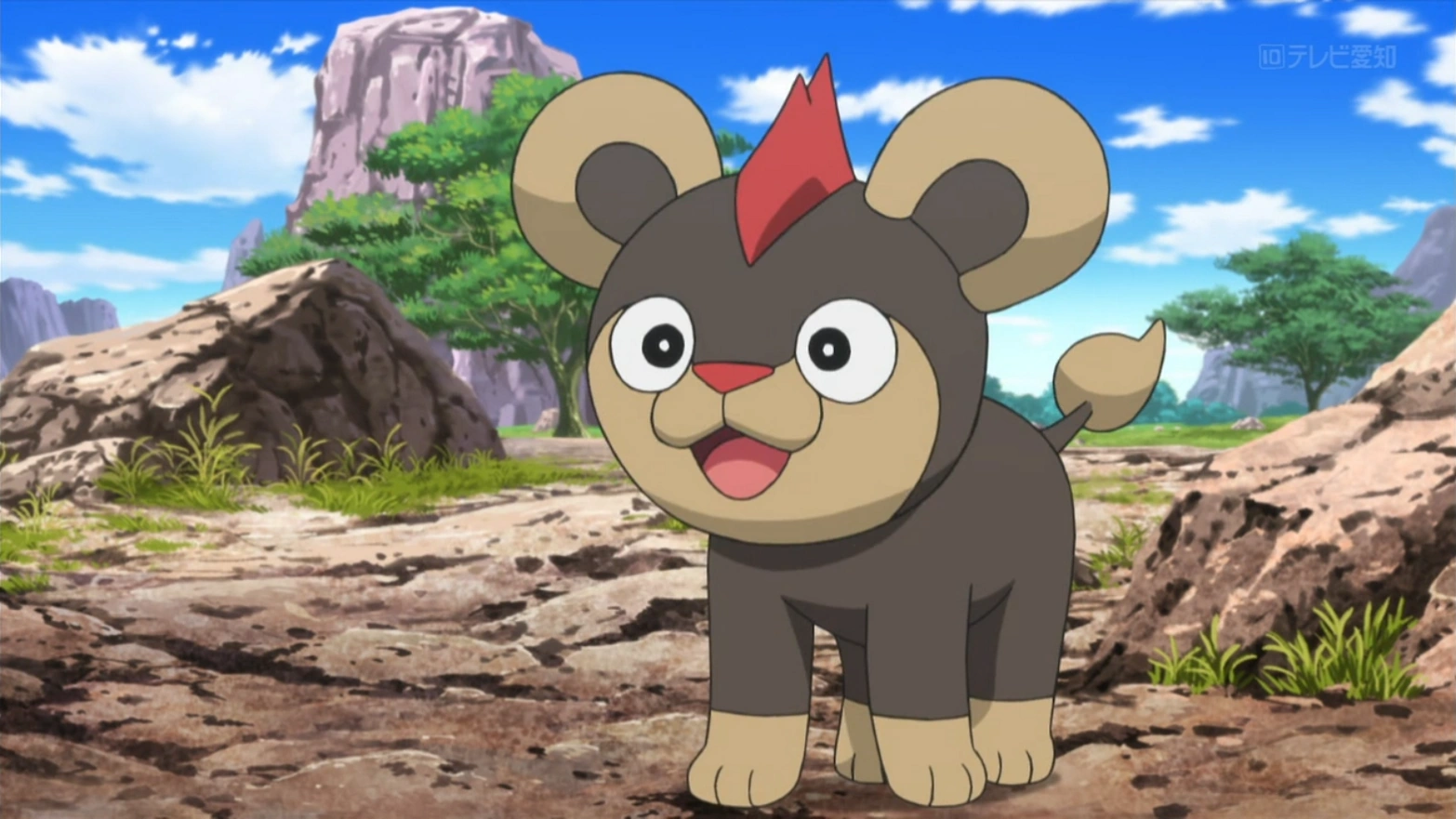 Pokemon X En Y Litleo Pokemon X/Pokemon Y First Gym Leader Announced;