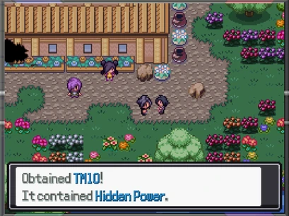TM10 Hidden Power | Pokemon Reborn Wikia | Fandom