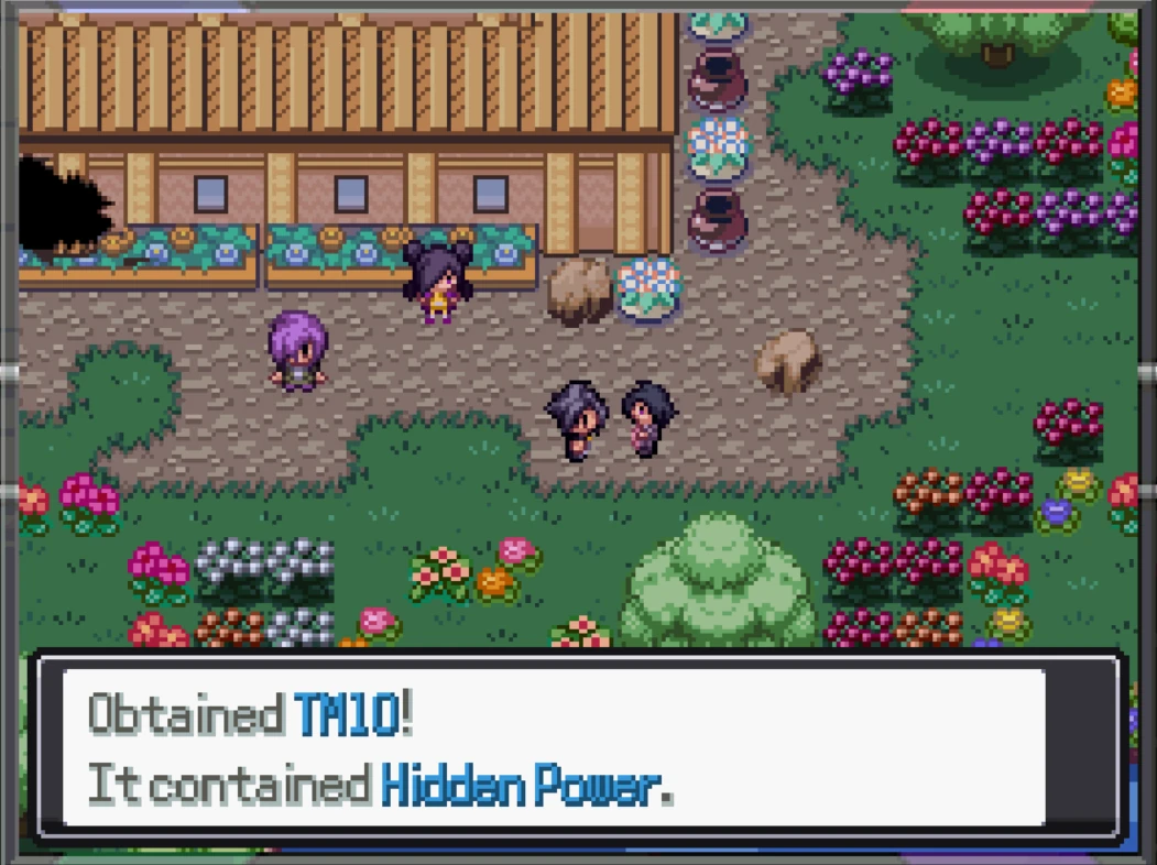 TM10 Hidden Power | Pokemon Reborn Wikia | Fandom