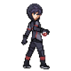 Aster | Pokemon Reborn Wikia | Fandom