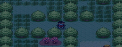 Pokemon Reloaded Wiki Beta 17 Wiki | Fandom