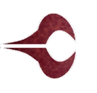 Team Chronos | Wiki Pokémon Re:union | Fandom