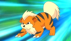 Zack Farrow | Wikia Pokémon Rol Championship | Fandom