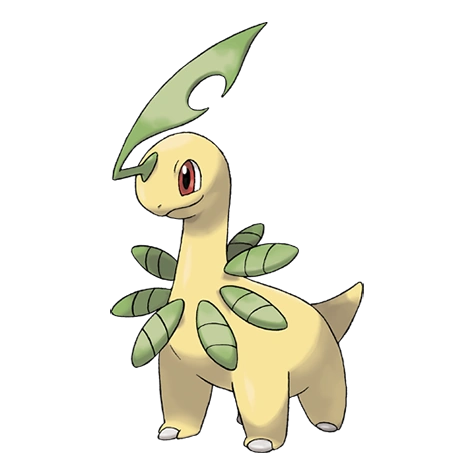 Flower | Pokemon Sapphire Blue Wiki | Fandom