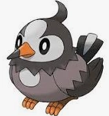 Starly | Pokemon Scarlet and Violet Wiki | Fandom