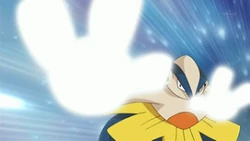 Raliegh's Hariyama | Pokemon: Sinnoh Adventures Wikia | Fandom