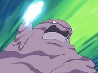 Kellyn's Muk | Pokemon: Sinnoh Adventures Wikia | Fandom